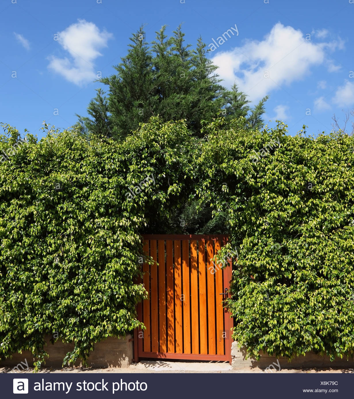 High Hedges Stock Photos & High Hedges Stock Images - Alamy