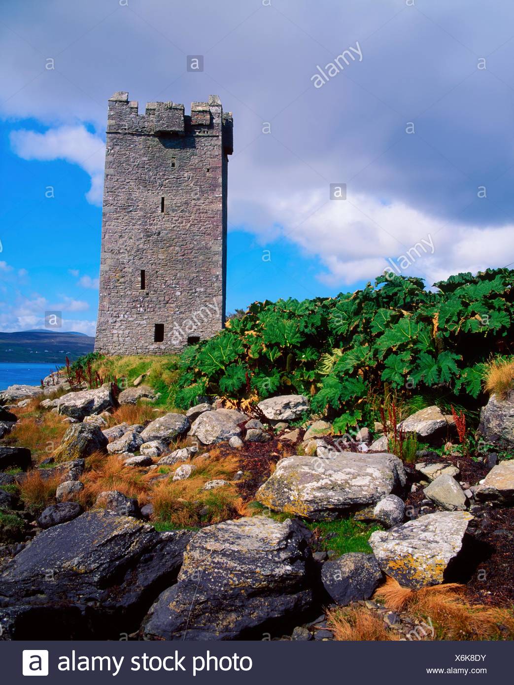 Grace O'malley High Resolution Stock Photography and Images - Alamy