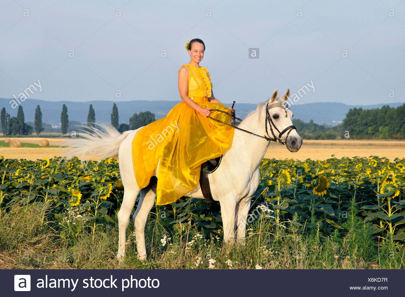 Side Saddle Rider High Resolution Stock Photography and Images - Alamy