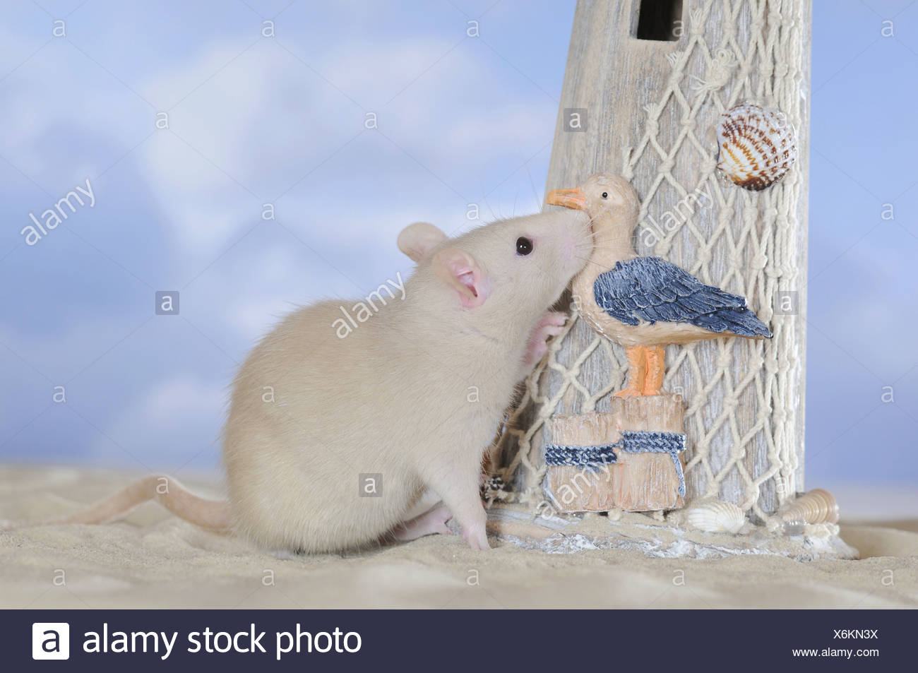 Cream Coloured Houses High Resolution Stock Photography and Images - Alamy