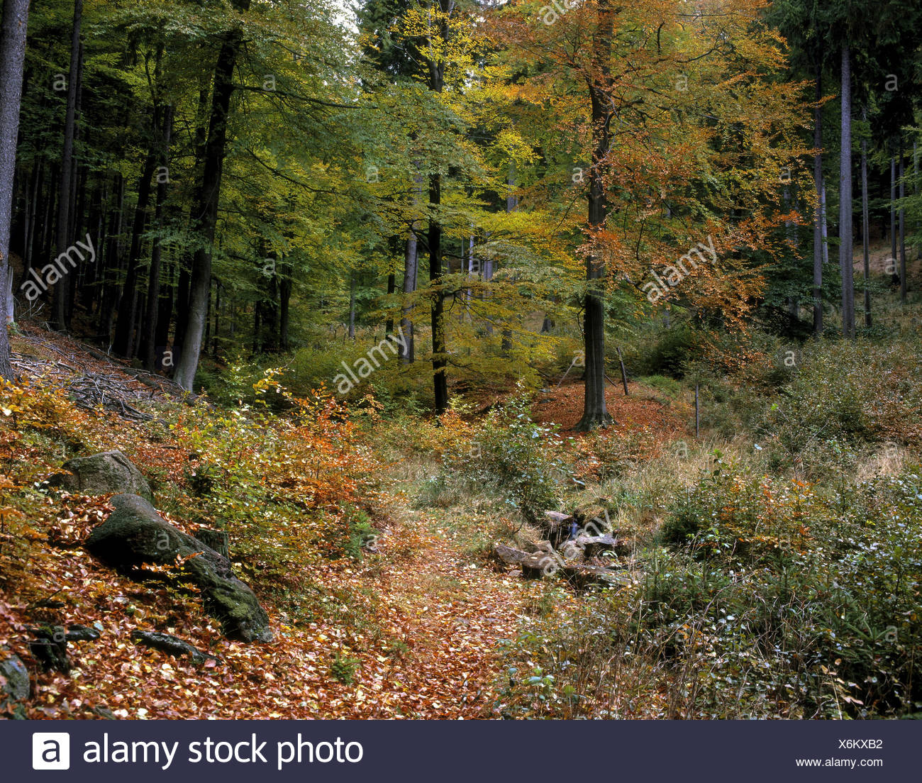 Geography Travel Germany Saxony Anhalt Landscapes High Resolution Stock ...