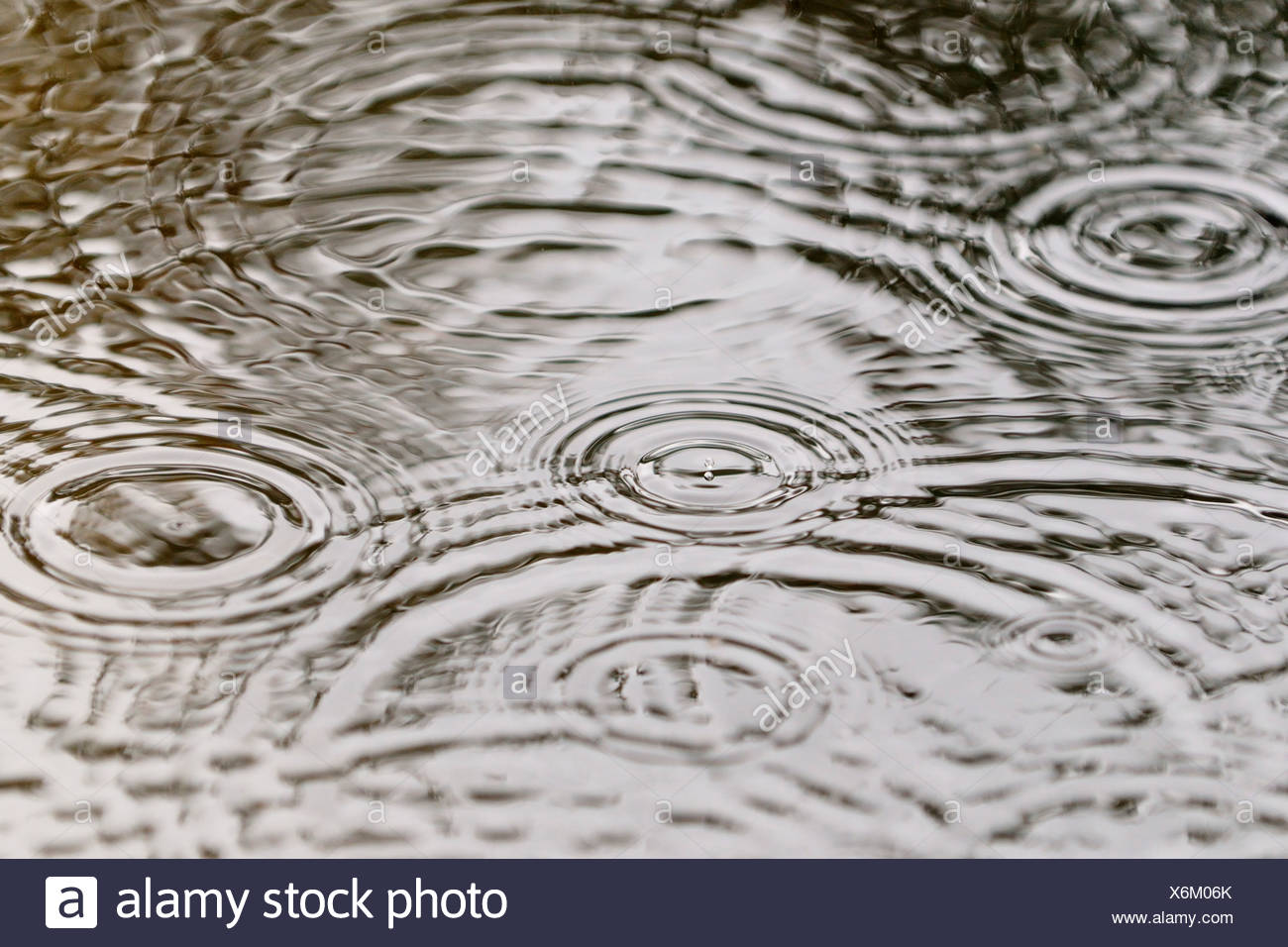 Raindrops Falling On Puddle High Resolution Stock Photography and Images - Alamy