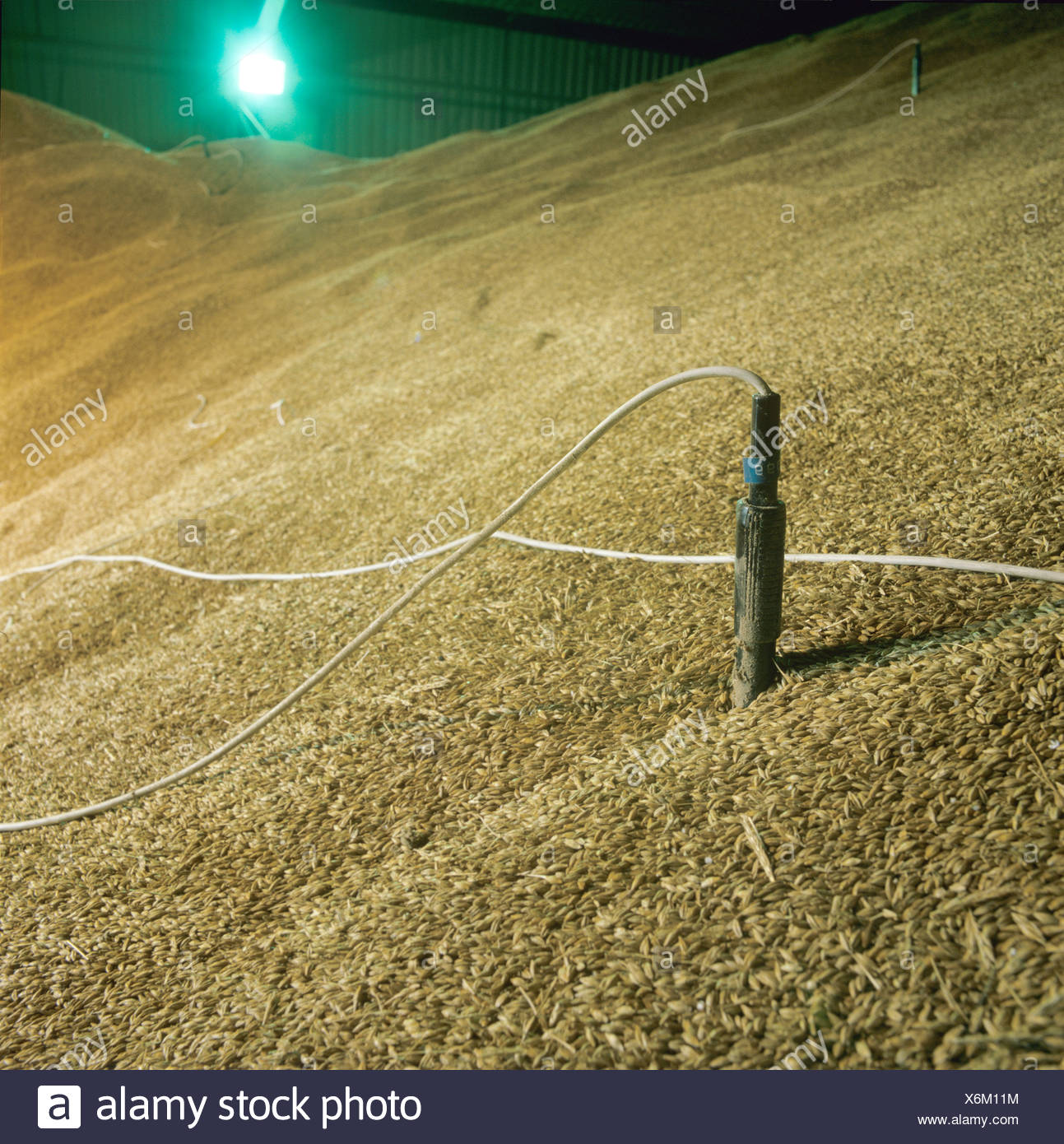 Store Seed High Resolution Stock Photography and Images - Alamy