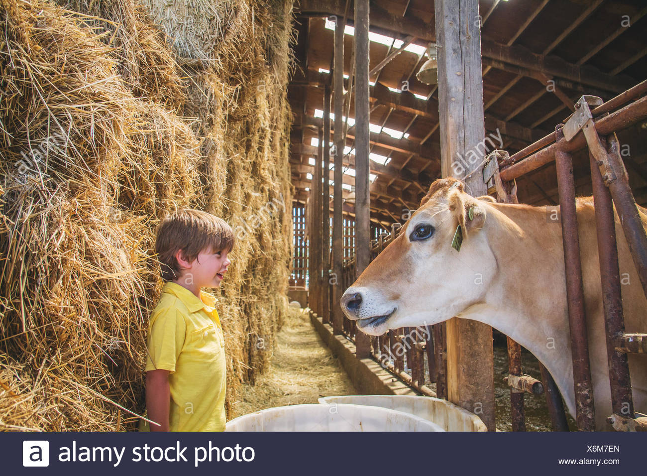 Farm Stall High Resolution Stock Photography and Images - Alamy
