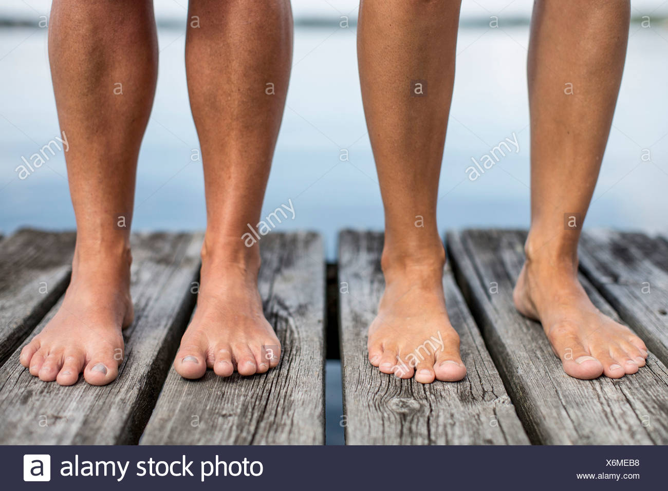 Four Toes Each Foot Stock Photos & Four Toes Each Foot Stock Images - Alamy