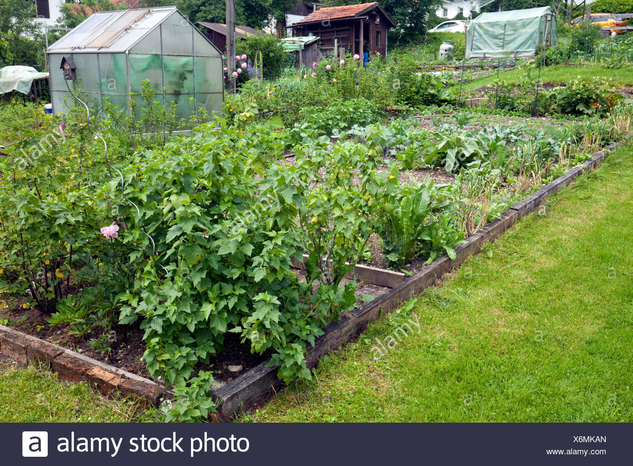 Different Patches High Resolution Stock Photography and Images - Alamy