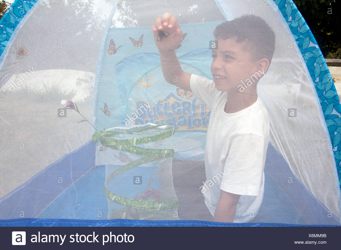 Lepidopterist High Resolution Stock Photography and Images - Alamy