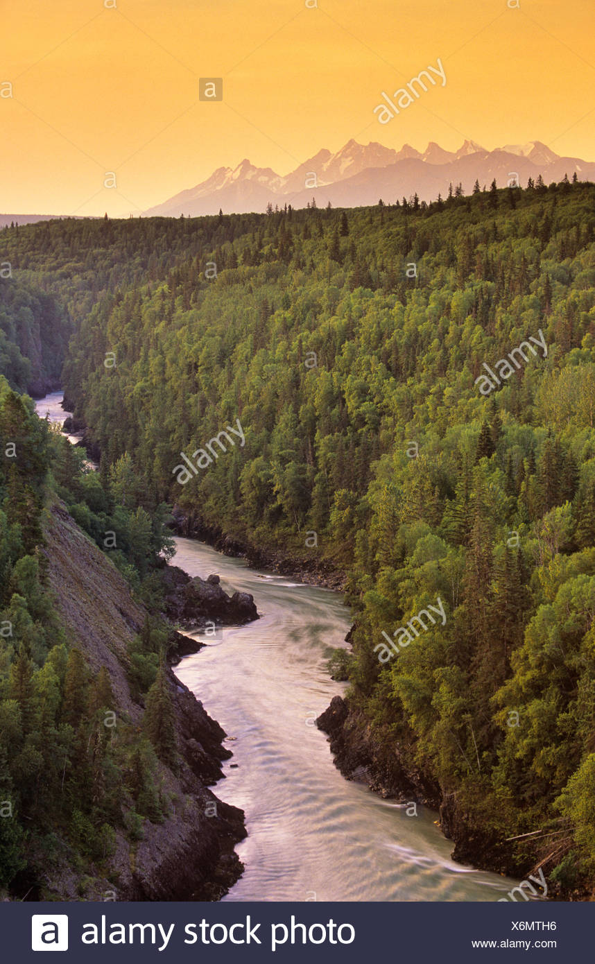 Skeena River Near Hazelton High Resolution Stock Photography and Images ...