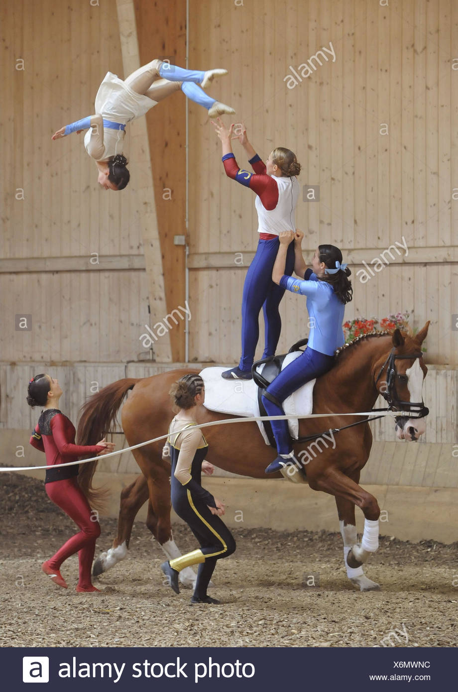 Horse Acrobatics High Resolution Stock Photography and Images - Alamy