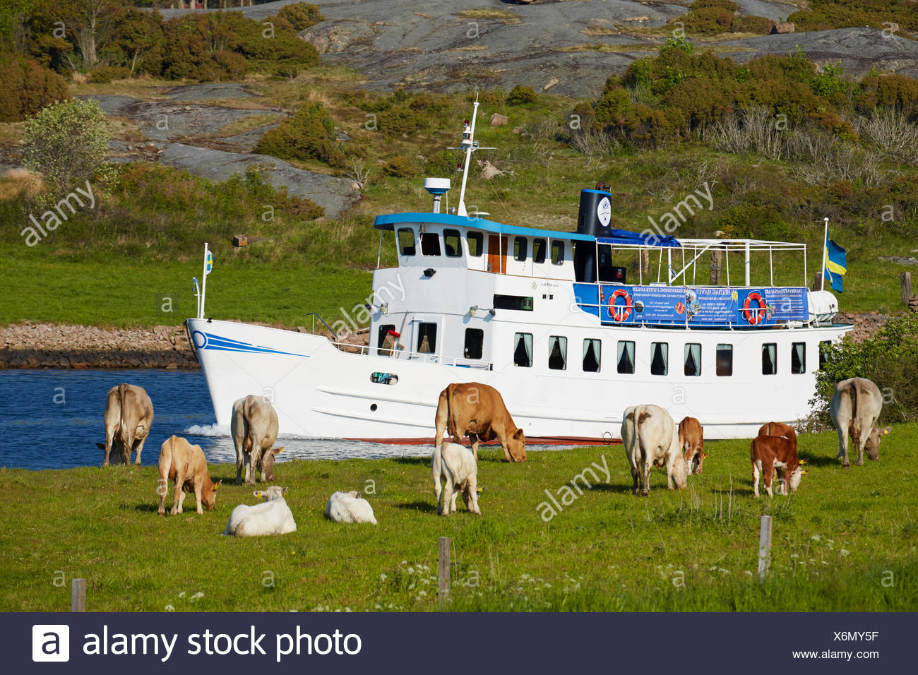 Skerry Cruiser High Resolution Stock Photography and Images - Alamy
