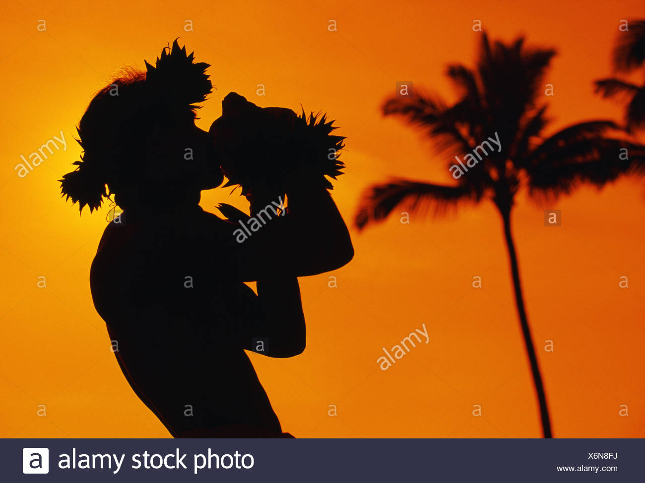 Hawaiian Man Blowing Conch Shell High Resolution Stock Photography and ...