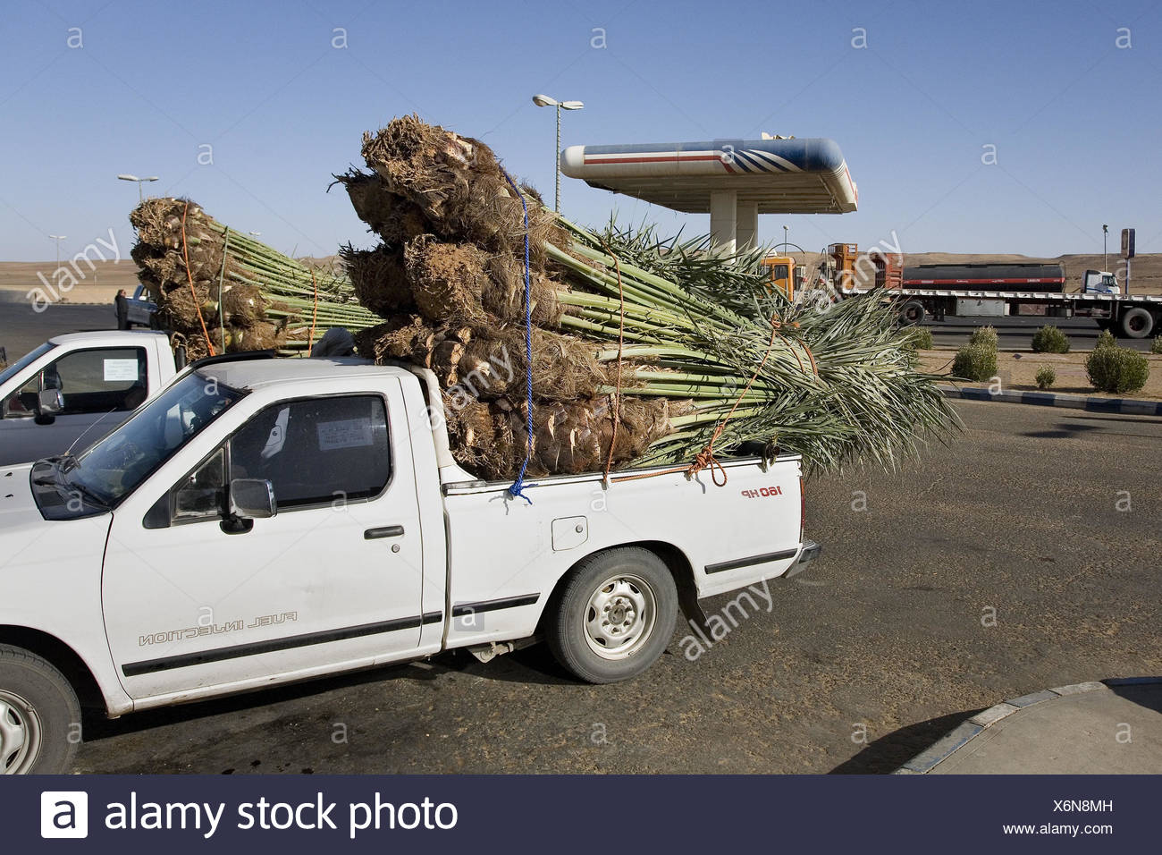 Pick Ups Stock Photos & Pick Ups Stock Images - Alamy
