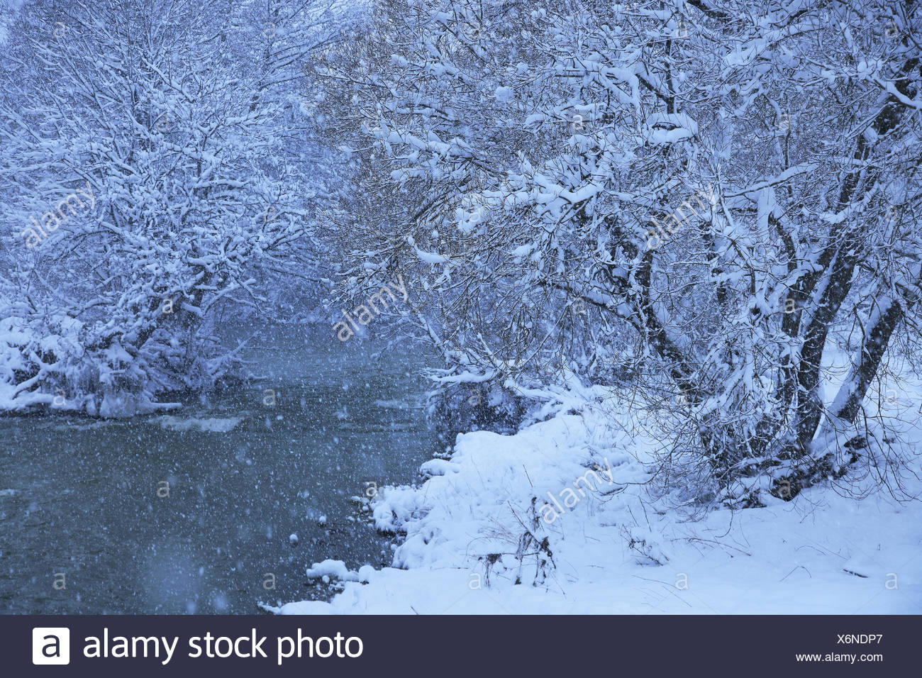 Nied Stock Photos & Nied Stock Images - Alamy