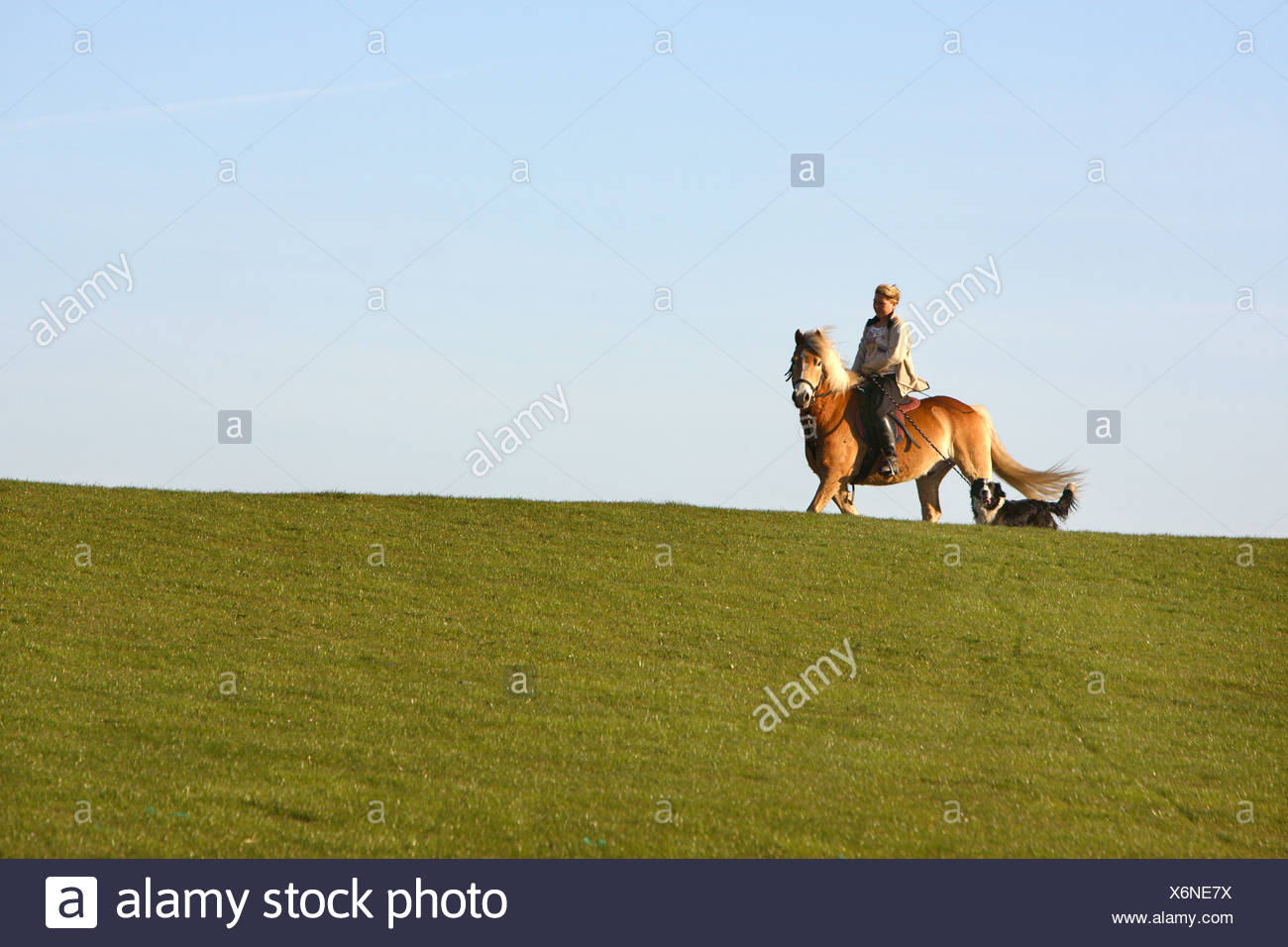 Dike Woman Horse High Resolution Stock Photography and Images - Alamy