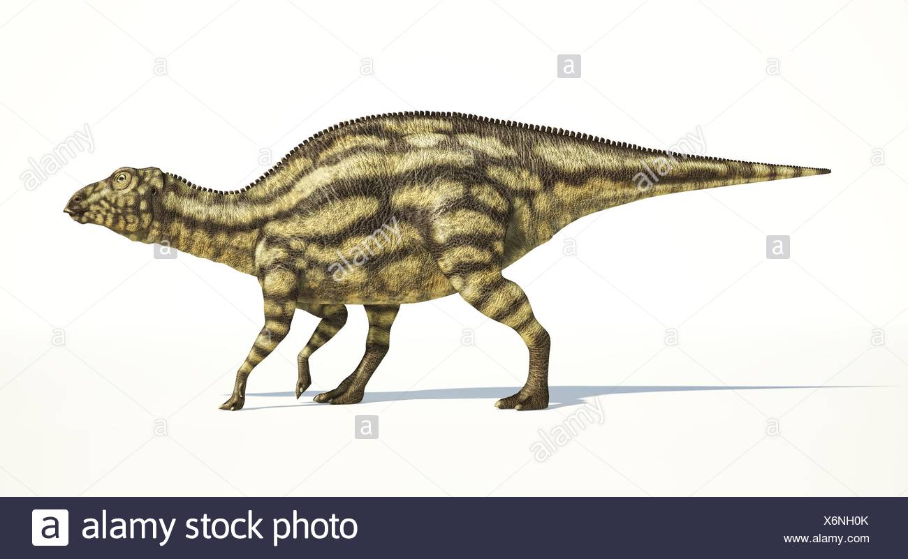 Maiasaura Stock Photos & Maiasaura Stock Images - Alamy