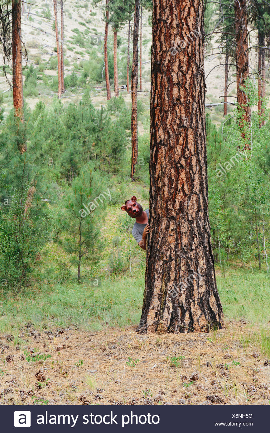 Hiding Behind A Tree High Resolution Stock Photography and Images - Alamy