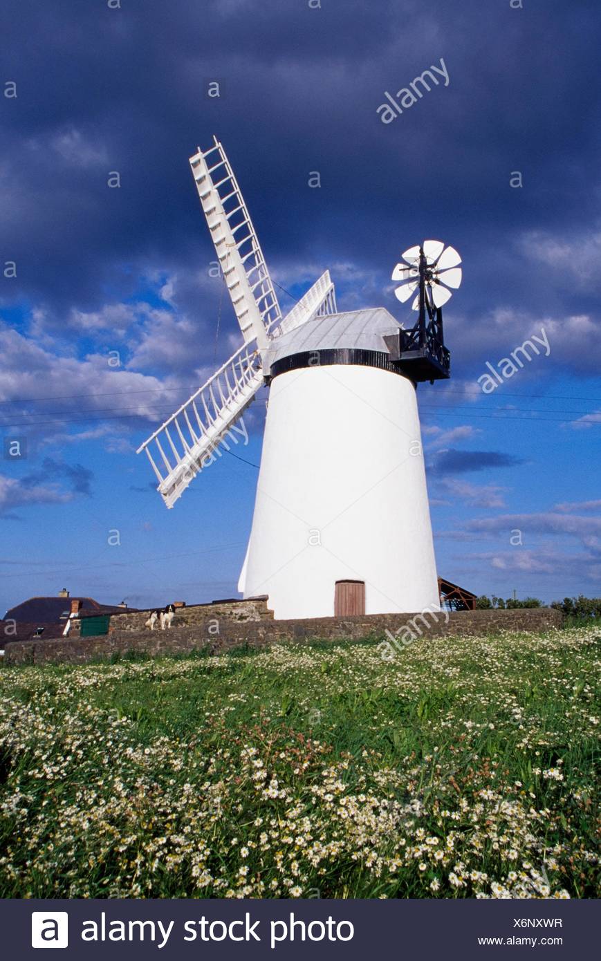 Millisle, County Down High Resolution Stock Photography and Images - Alamy