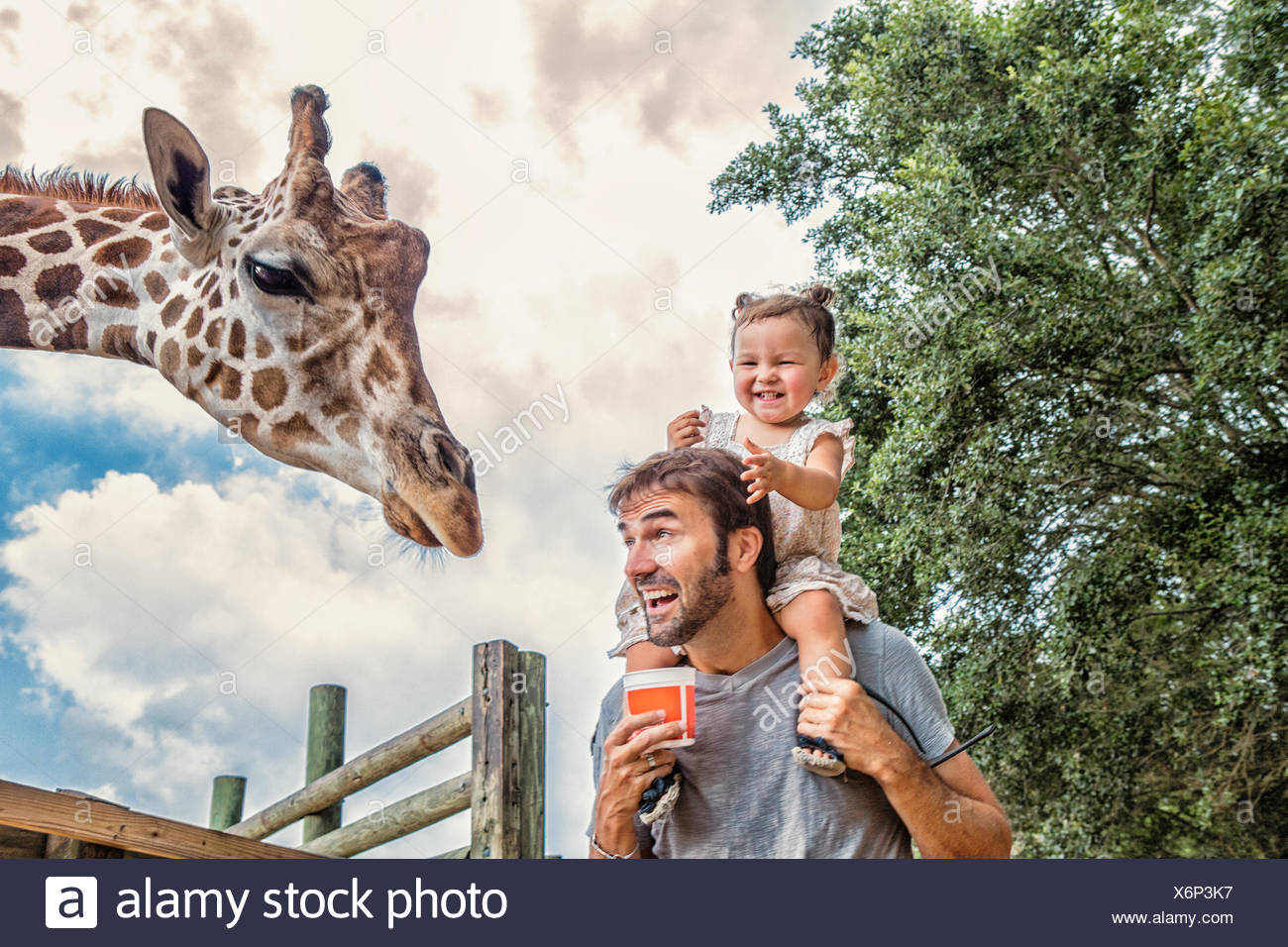 Giraffe Man High Resolution Stock Photography and Images - Alamy