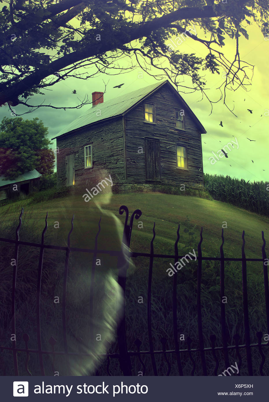 Haunted House Stock Photos & Haunted House Stock Images - Alamy