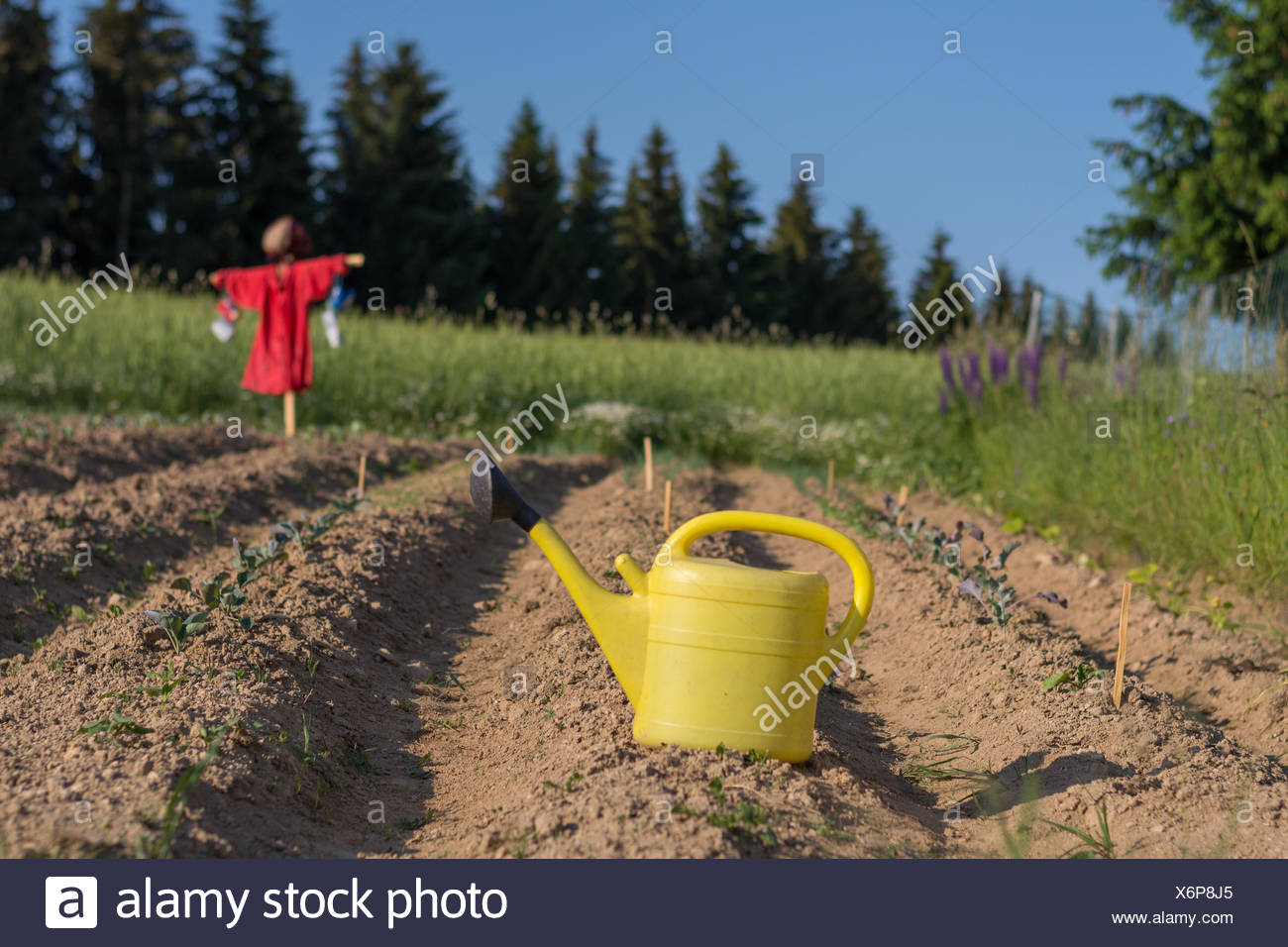 Ackerfeld High Resolution Stock Photography and Images - Alamy