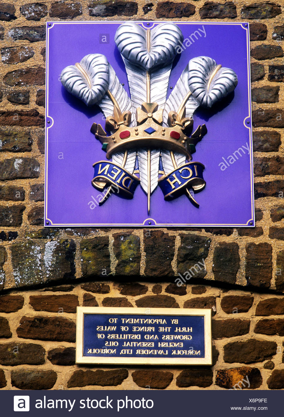 Royal Motto Stock Photos & Royal Motto Stock Images - Alamy