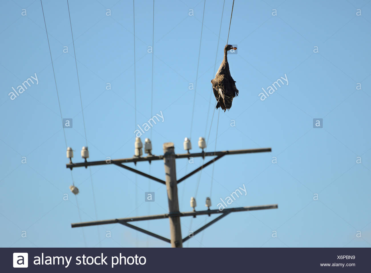 Free Power Supply High Resolution Stock Photography and Images - Alamy