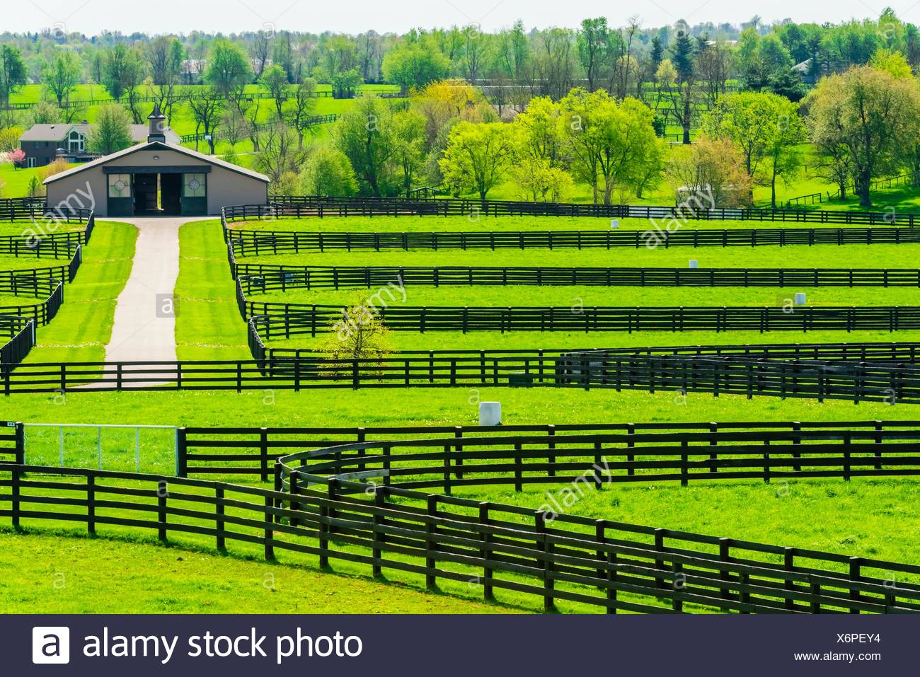 Winstar High Resolution Stock Photography and Images - Alamy