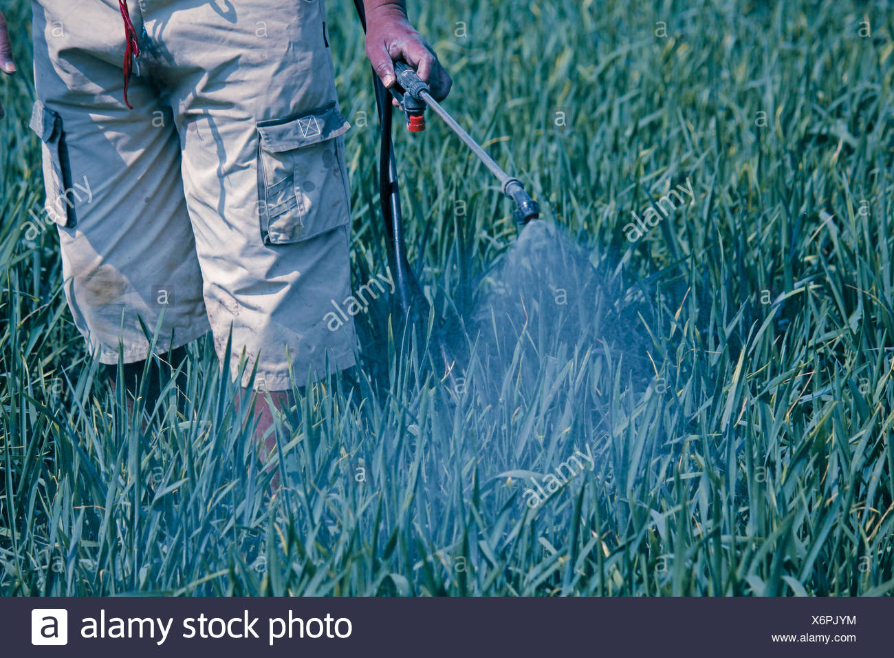 Agriculture Farmer Spraying Fertilizer High Resolution Stock ...