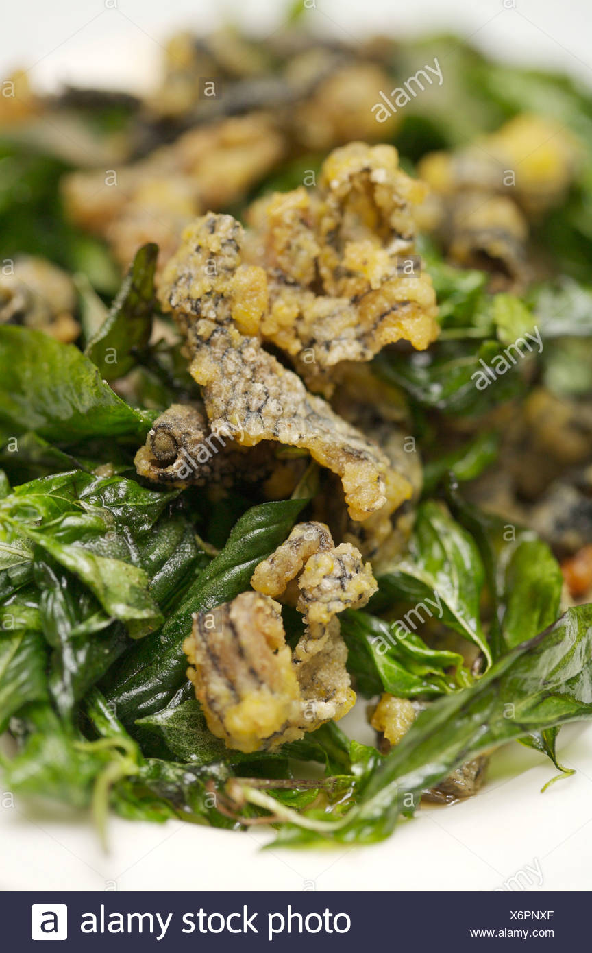 Fried Snake Stock Photos & Fried Snake Stock Images - Alamy