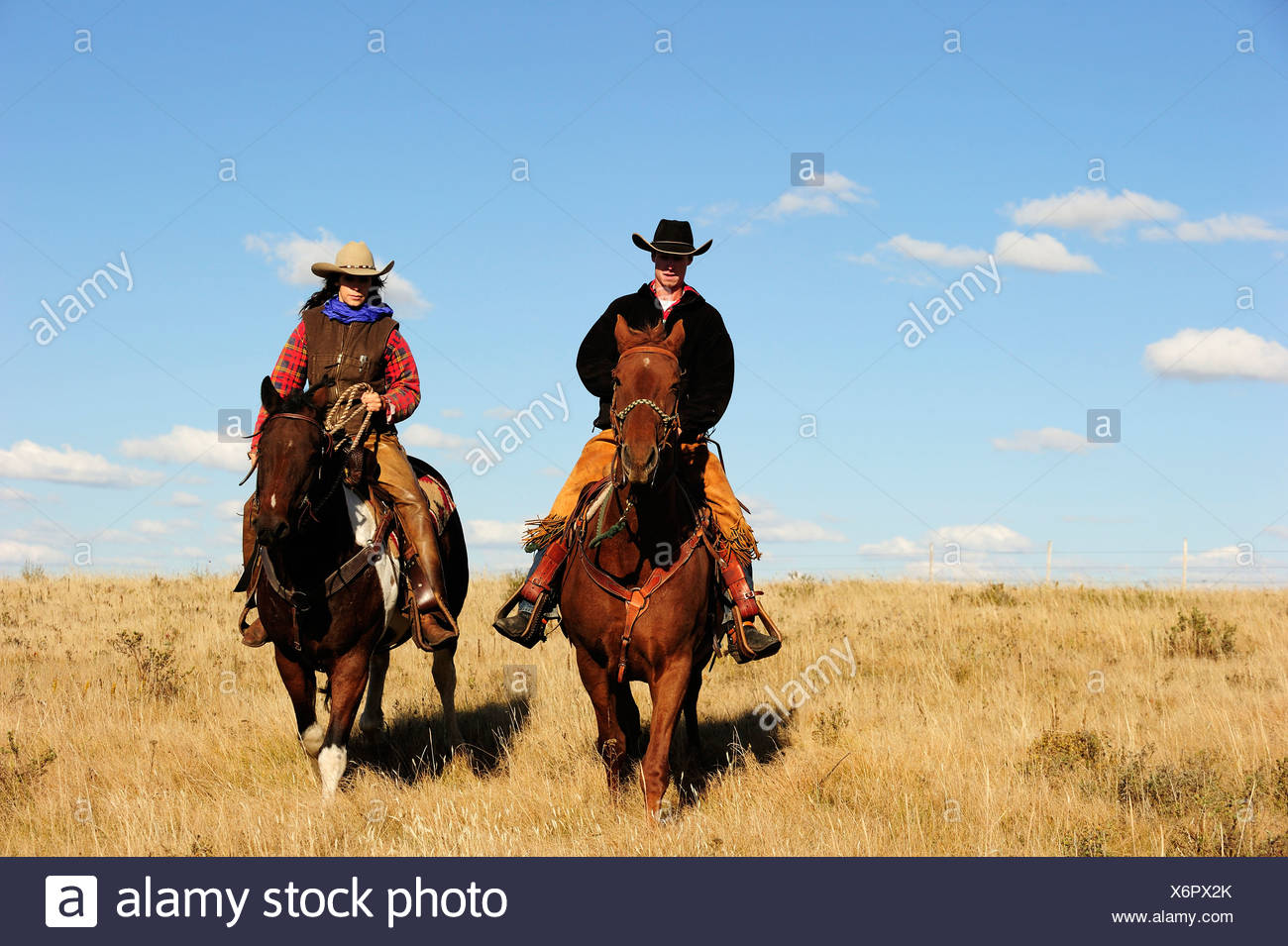 Two Cowboys Riding Horses High Resolution Stock Photography and Images ...