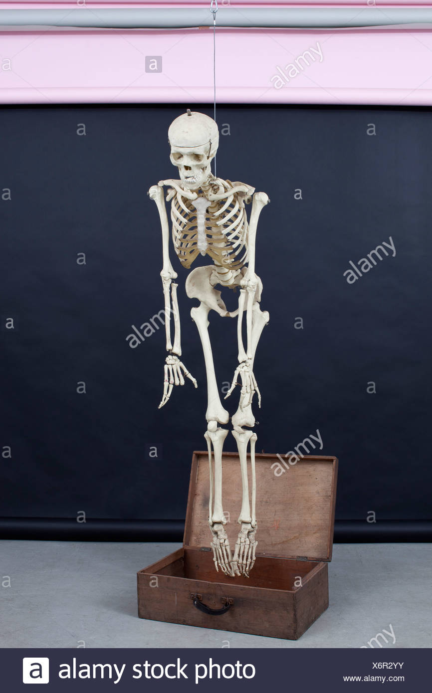 Skeleton Box High Resolution Stock Photography and Images - Alamy