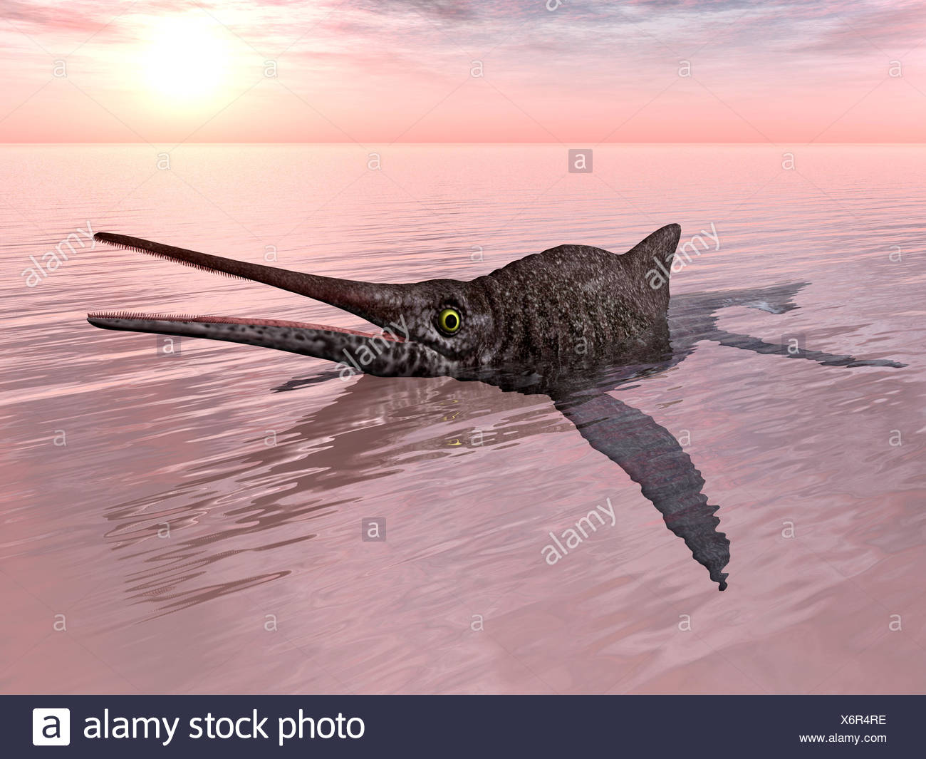 Shonisaurus Stock Photos & Shonisaurus Stock Images - Alamy