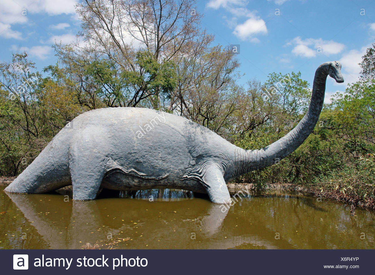 Diplodocus High Resolution Stock Photography and Images - Alamy