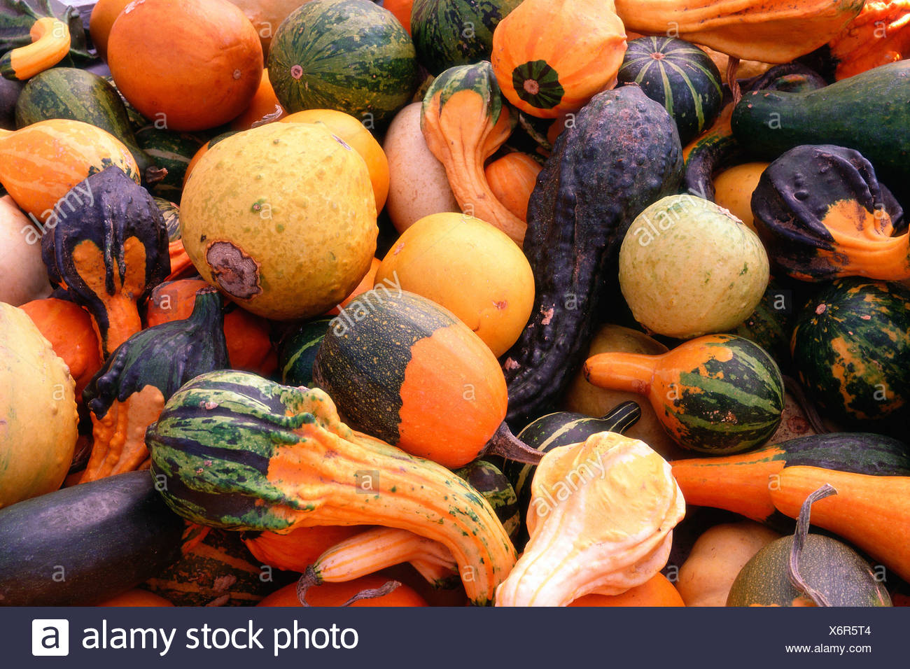 Rotting Fruit High Resolution Stock Photography and Images - Alamy