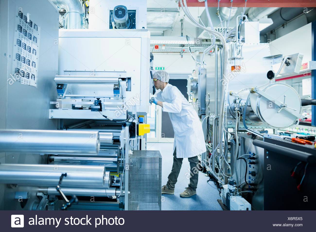 Male Specimen High Resolution Stock Photography and Images - Alamy