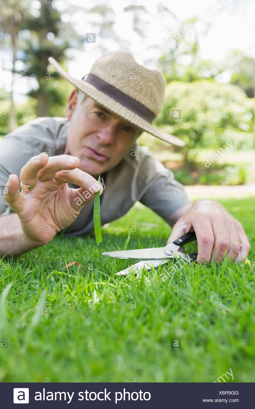 Cutting Grass With Scissors High Resolution Stock Photography and ...
