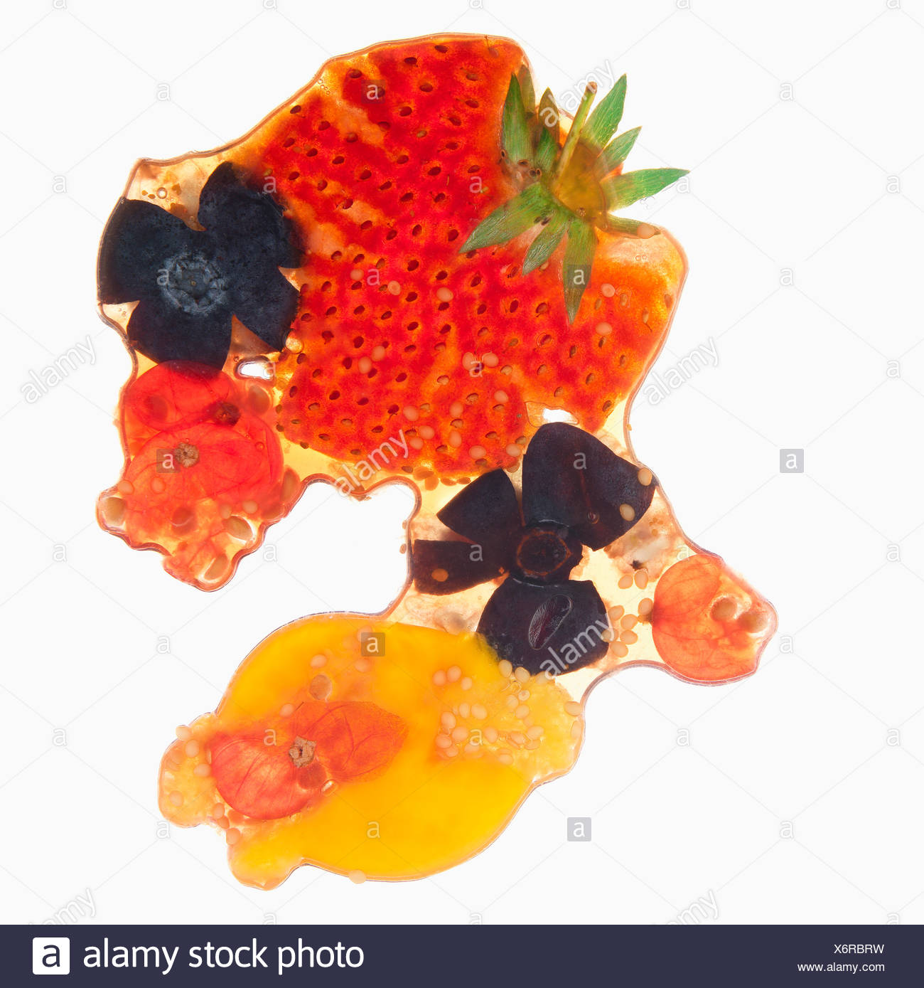 Squashed High Resolution Stock Photography and Images - Alamy