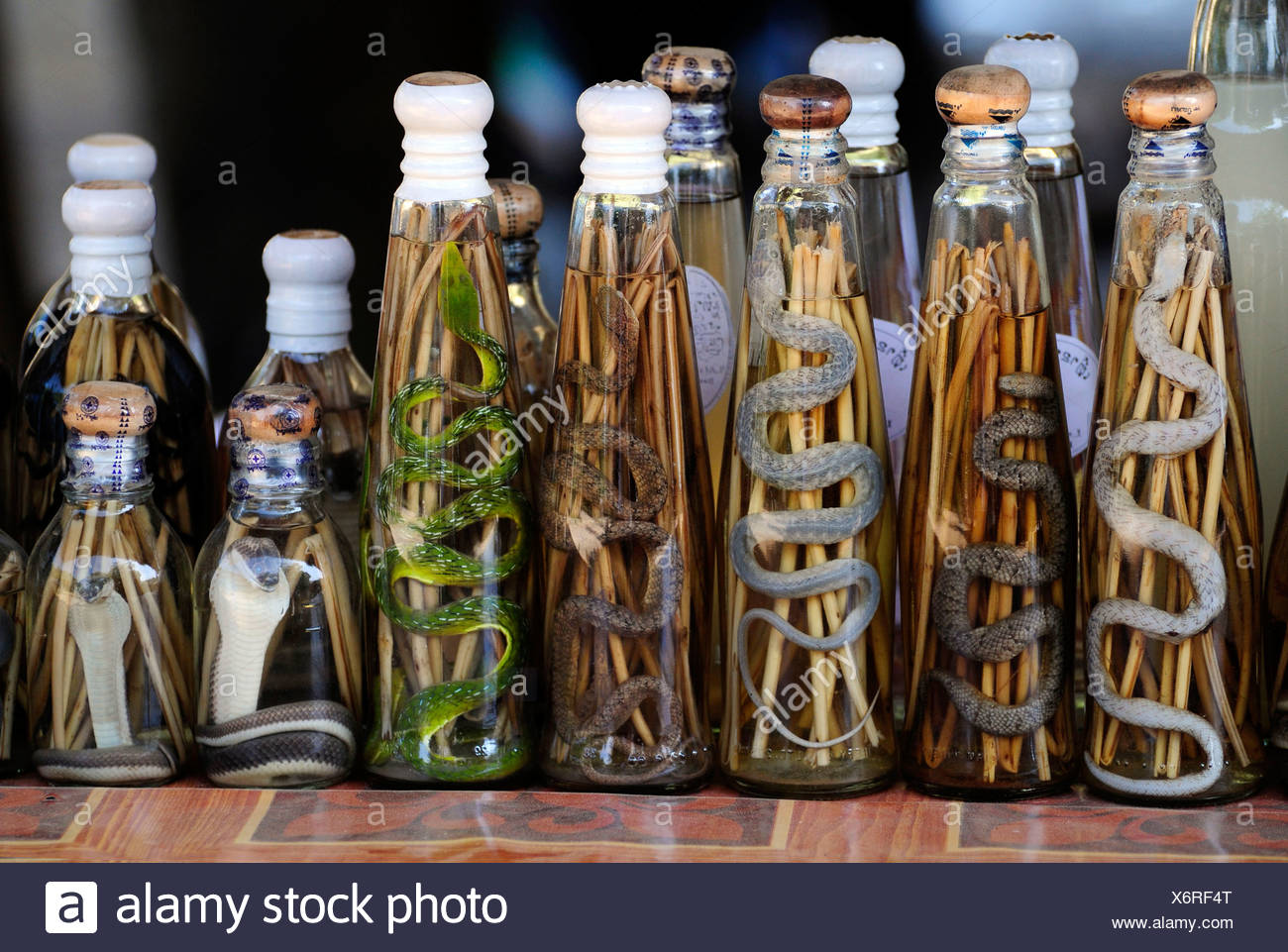 Snakes In Bottles High Resolution Stock Photography and Images - Alamy