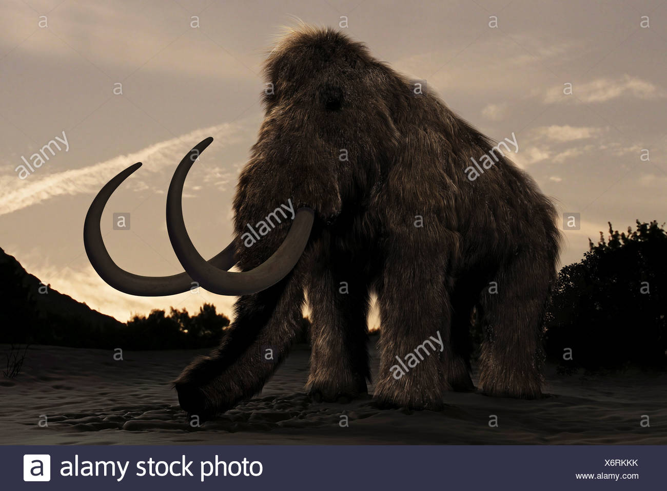 Wooly Mammoth High Resolution Stock Photography and Images - Alamy
