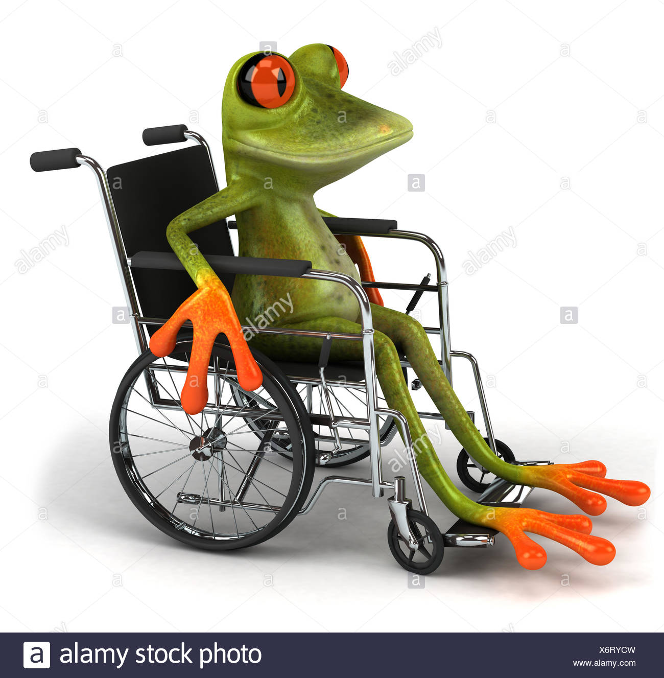 Amazonian Toad Frog Stock Photos & Amazonian Toad Frog Stock Images - Alamy