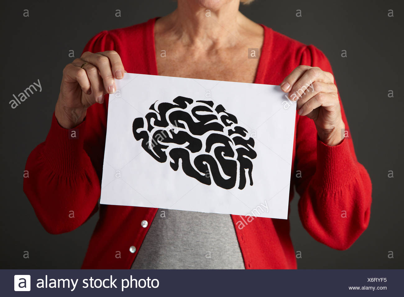 Brain Section High Resolution Stock Photography and Images - Alamy
