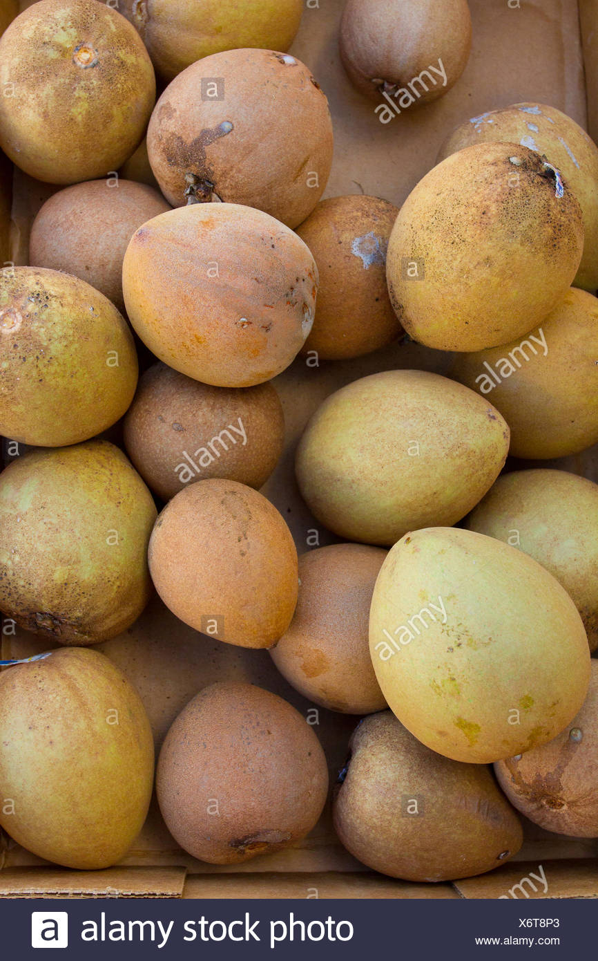 Cannonball High Resolution Stock Photography and Images - Alamy