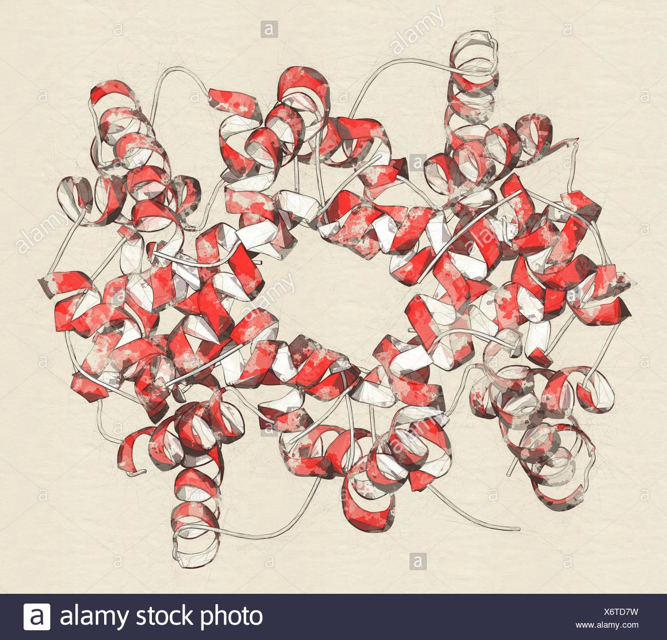 Alpha Helices High Resolution Stock Photography and Images - Alamy