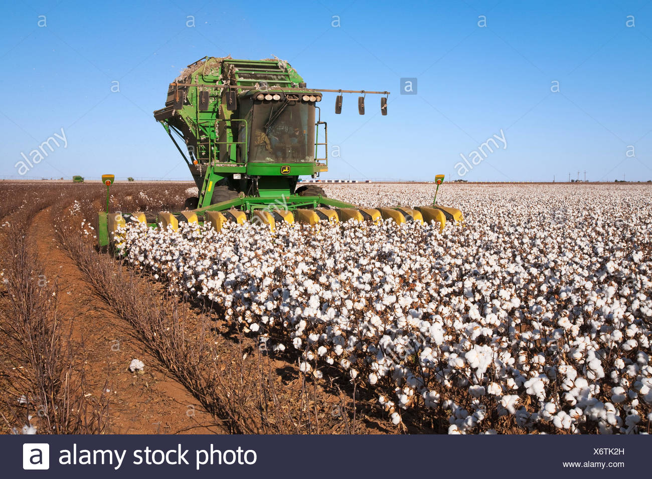 Cotton Stripper Stock Photos & Cotton Stripper Stock Images - Alamy