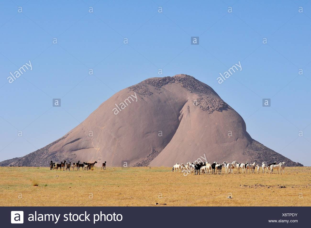 Agriculture Mauritania High Resolution Stock Photography and Images - Alamy