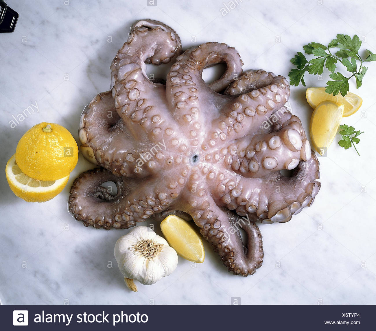 High Protein Meal Ingredients High Resolution Stock Photography and ...