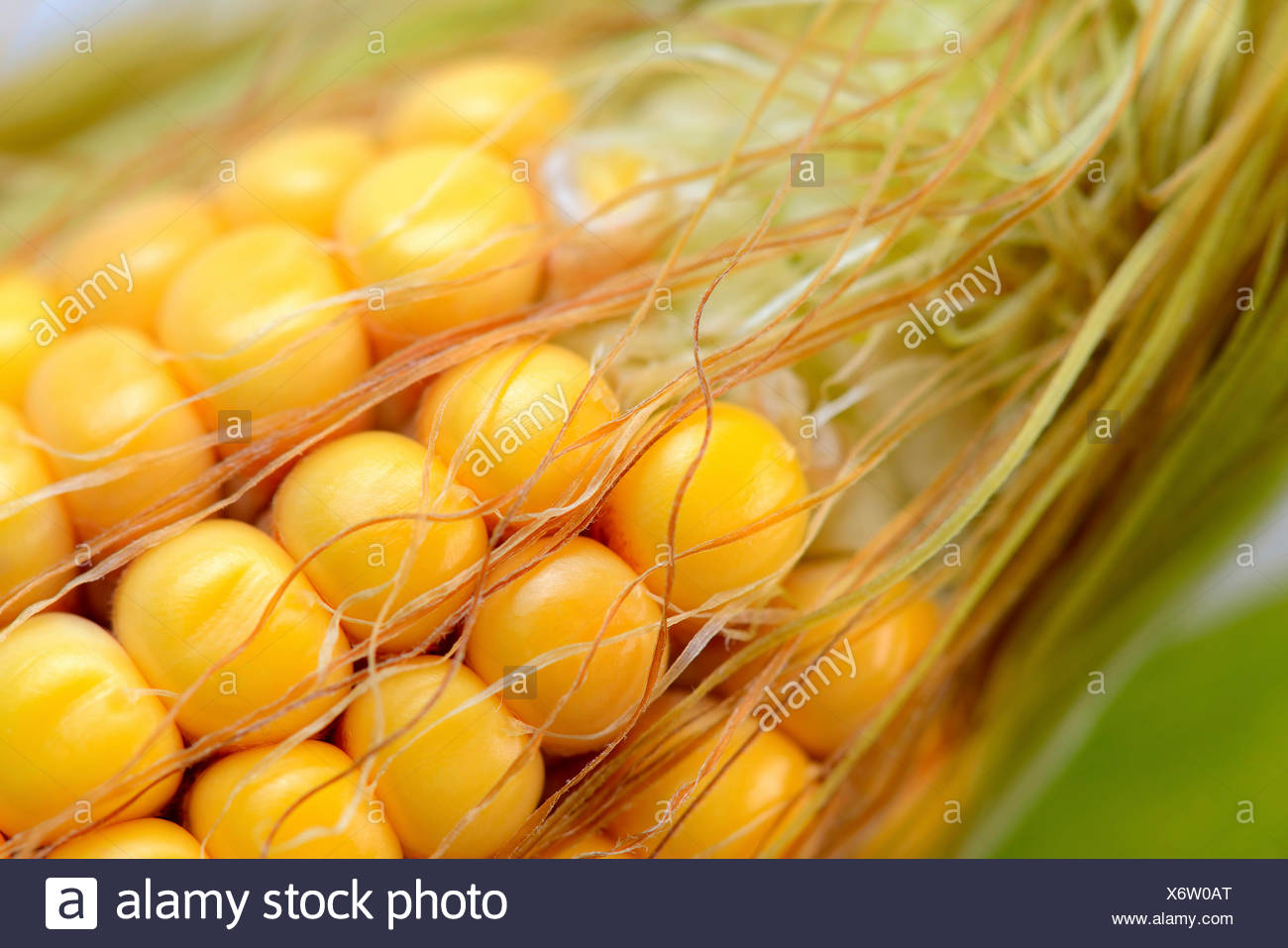 Indian Corn Cob High Resolution Stock Photography and Images - Alamy