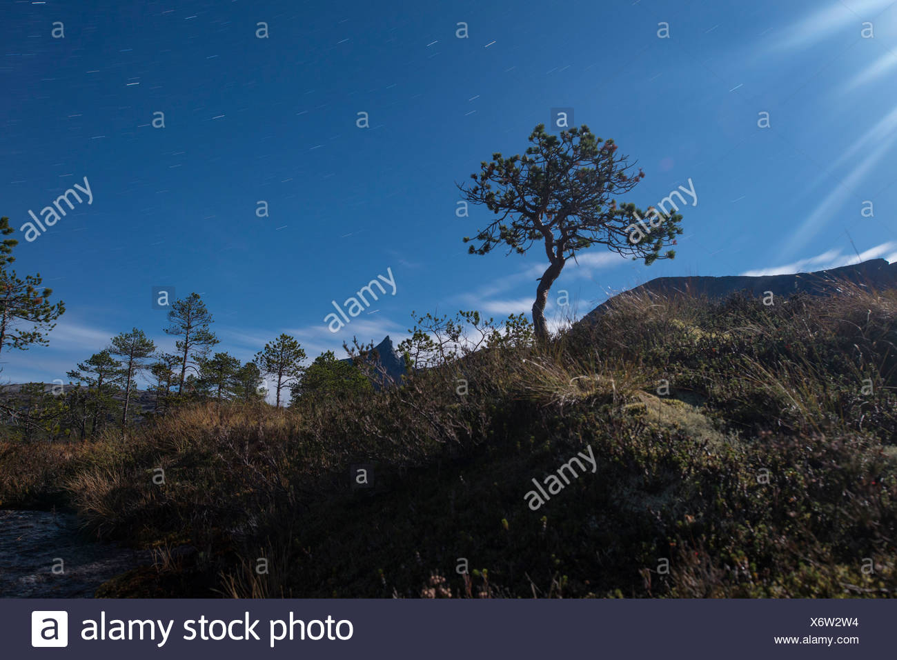 Ofoten High Resolution Stock Photography and Images - Alamy