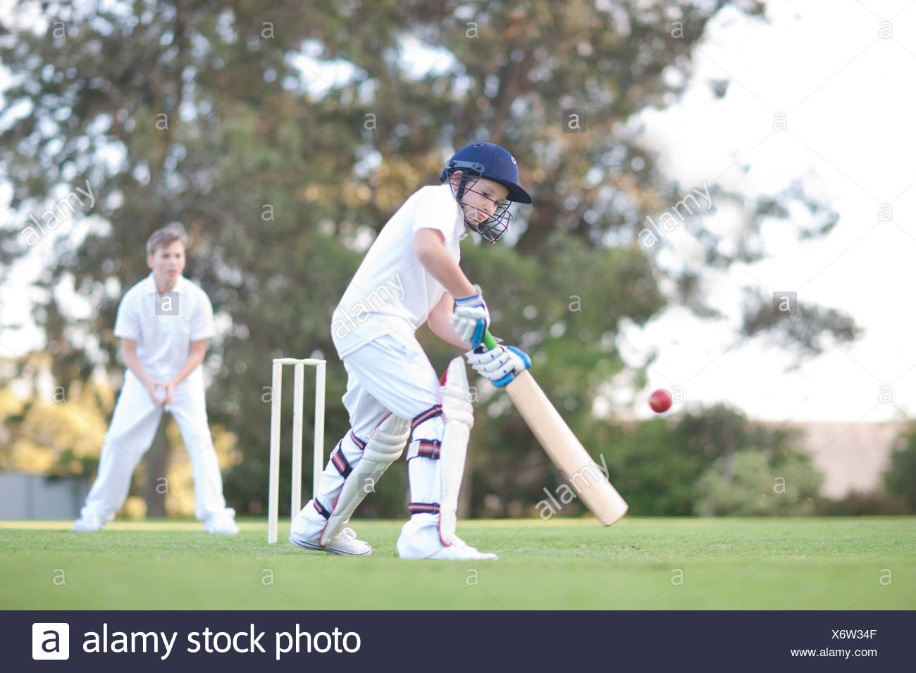 Cricket Stock Photos & Cricket Stock Images - Alamy
