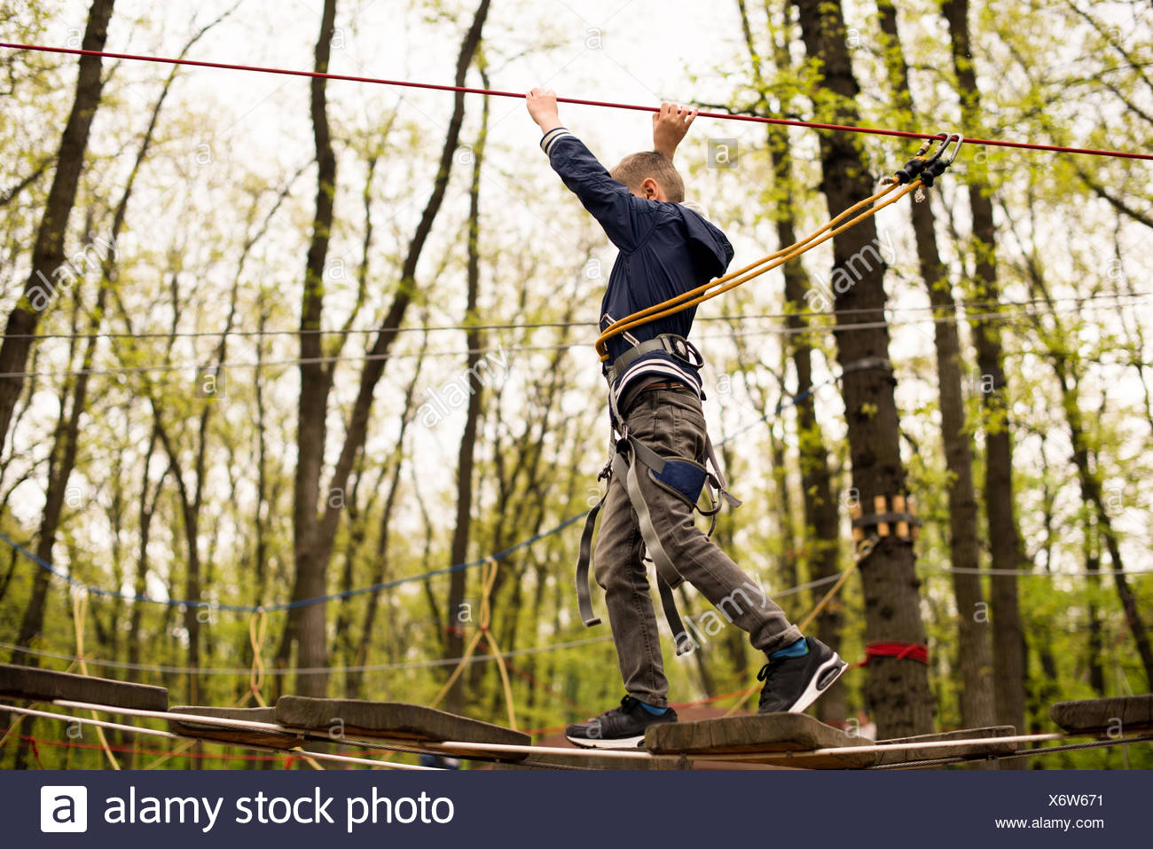 Boy Climbing Tree High Resolution Stock Photography and Images - Alamy